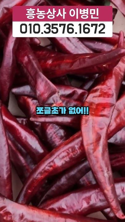 너~무 좋은 고추 품종은 Youtube