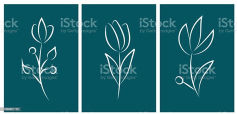 벡터 선형 추상 포스터 식물 잎 꽃 유기 모양과 봄과 여름 미니멀 한 스타일로 벽지 포스터 포스터 배경 엽서 웹사이트 및 포장용 유칼립투스에 대한 스톡 벡터 아트 및 기타