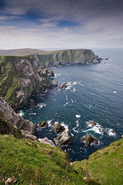Wild Shetland And The Hope Of Orca Shetland Nature