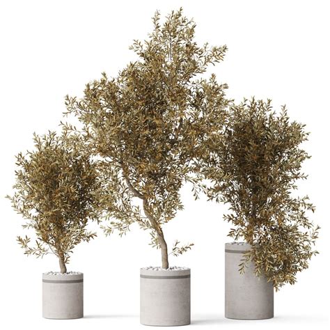 Plants Collection 793 3d Model Turbosquid 1963610