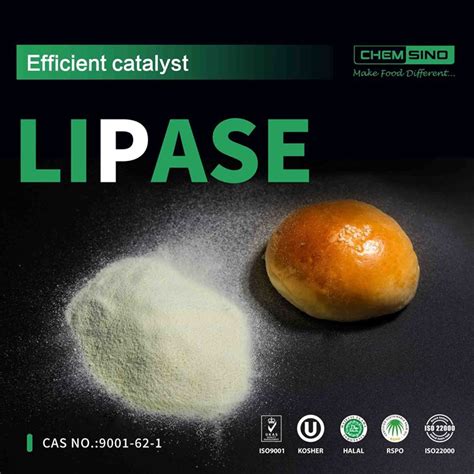 China Customized High Lipase Enzyme For Food And Medicines Suppliers