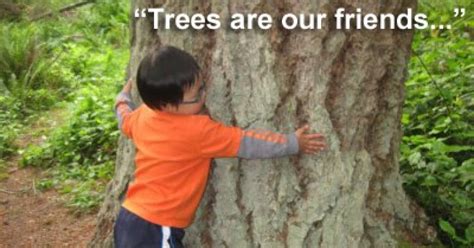 English Essay Trees Are Our Best Friends