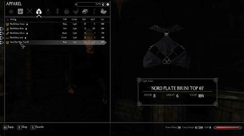 Remaining Problem Invisible Armor Slot After Doing Everything