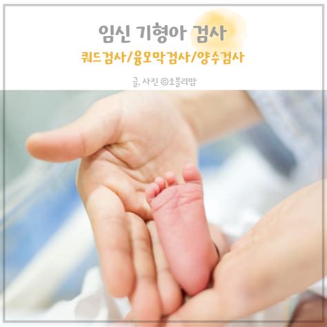 임신 기형아검사 쿠폰 쿼드검사 융모막검사 양수검사 태아 목 투명대 네이버 블로그