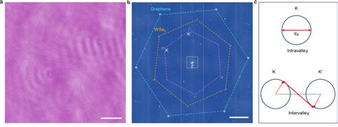 Qpi Imaging On An 18° Twisted Slg On Wse2 Heterostructure A Didv V