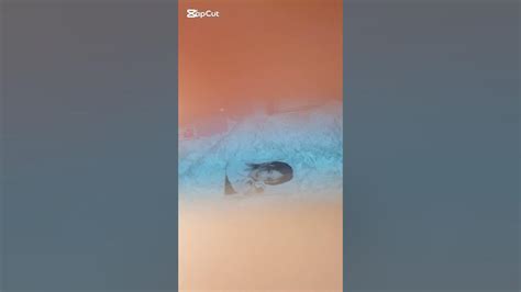 제가만든 챌린지 해주실분ㅠ 관리자님잘생겼어요 아이브 챌린지 음원 Youtube