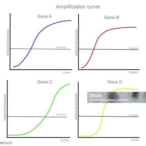The Amplification Curve With Qpcr Or Realtime Pcr Technique Represent Detection Result Of Target