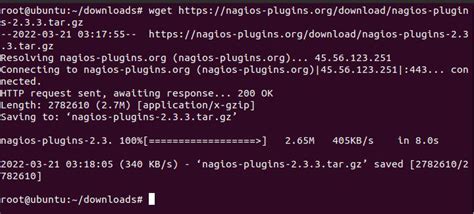 How To Install And Configure Nagios On Ubuntu Techdirectarchive