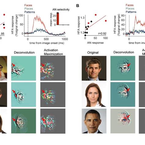 Receptive Field Reconstructions Of Two Example Model Neurons Two Out