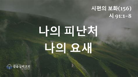 시편의 보화156 나의 피난처 나의 요새 시 911 8
