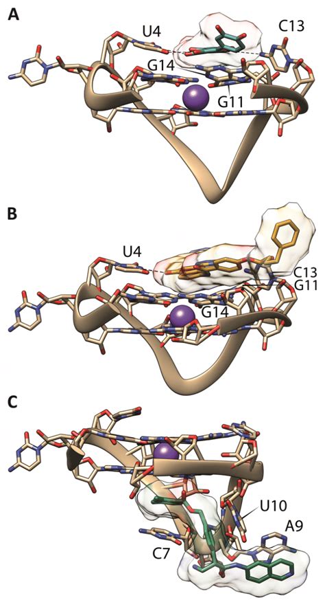 Fig S15 Most Populated Binding Poses Obtained After 500 Ns Of Mds For Download Scientific