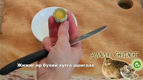 Бөднө шувууны өндгийг түүхийгээр уухад хэрхэн бэлтгэдэг вэ Та тохирох аргыг сонгож хэрэглээрэй