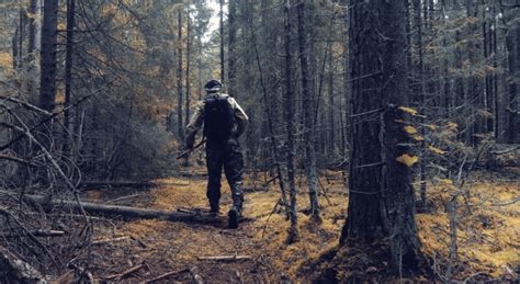 Pourquoi Un Volcan Est Il Explosif Ou Effusif