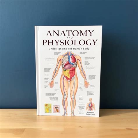Unlock The Human Body Anatomy And Physiology Book Cover