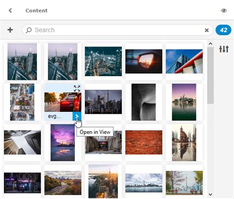 Rich Text Images Rich Text Editor Form View Views User Interface User Guide
