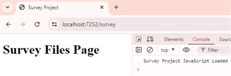 C Issue With App Mapwhen In Net Core Routing For Multiple Angular