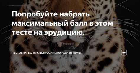 Попробуйте набрать максимальный балл в этом тесте на эрудицию Тестовик тесты с вопросами на
