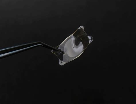 Conjunctivitis Vs Blepharitis Understanding The Differences Reno Eye Care Professionals