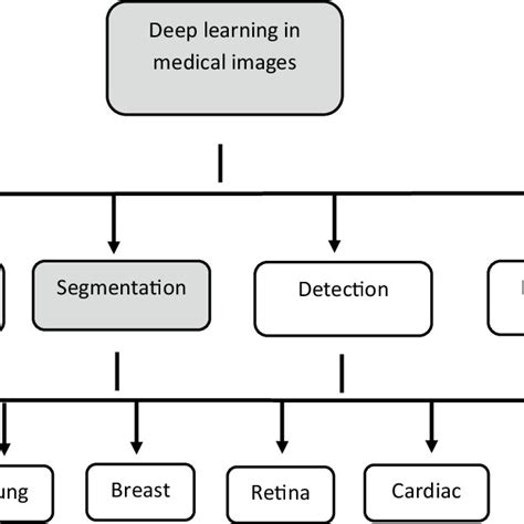 Pdf Mri Brain Tumor Medical Images Analysis Using Deep Learning Techniques A Systematic Review