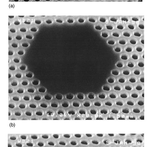 Sem Micrographs Showing Examples Of Microfabricated Optical Cavities A