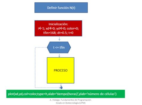 Bucles Y Condicionales En La Vida Real