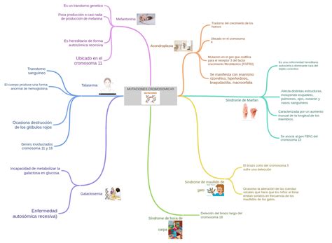 Mutaciones Cromosomicas Image Coggle Diagram