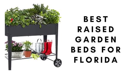 Raised Beds In Florida At Lilian Knopwood Blog