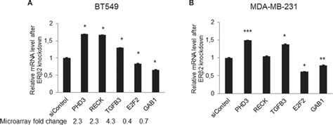 Validation Of Gene Expression Profiling Data By Qpcr A Real Time Pcr