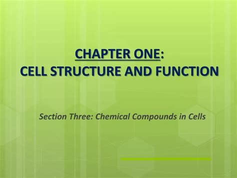 PPT Chapter One Cell Structure And Function PowerPoint Presentation ID 3886625