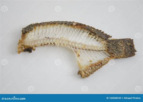Tilapia Bone Structure At Frank Ray Blog