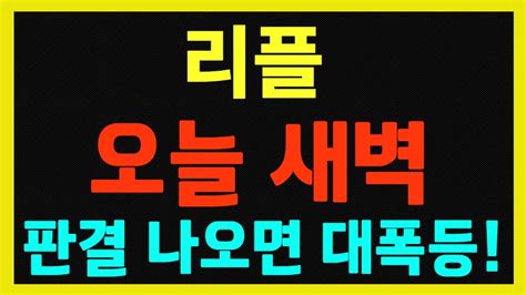 리플 오늘이 아니어도 소송은 곧 끝난다 미리 미리 선점 Youtube