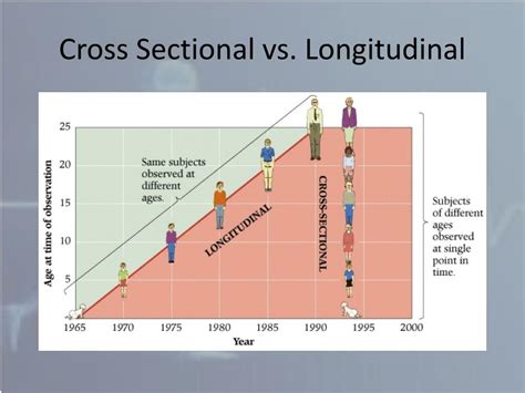 What Is A Cross Sectional Time Horizon At Levi Gether Blog