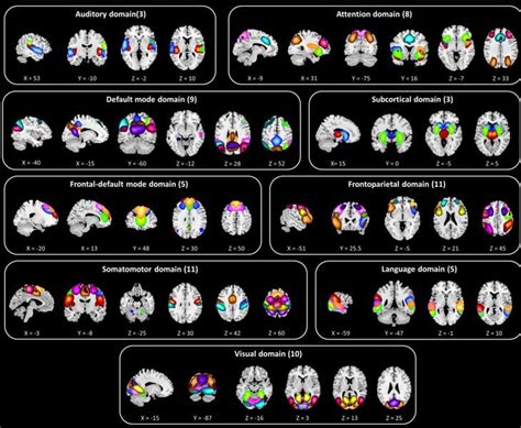 Composite Maps Of Nine Functional Domains Generated From The Sixty Five Download Scientific