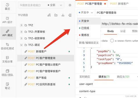 apipost接口测试工具 apipost 控制台 csdn博客