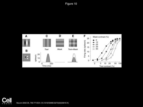 Suppression Without Inhibition In Visual Cortex Ppt Download