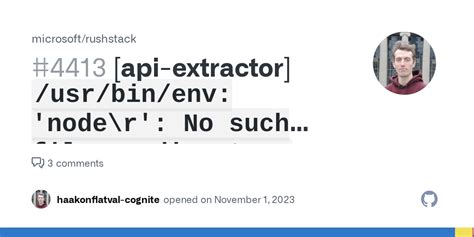[api Extractor] ` Usr Bin Env Node R No Such File Or Directory` When Starting Version 7 38 1