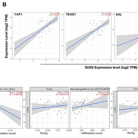 analysis of correlation of expression levels of yap signaling and