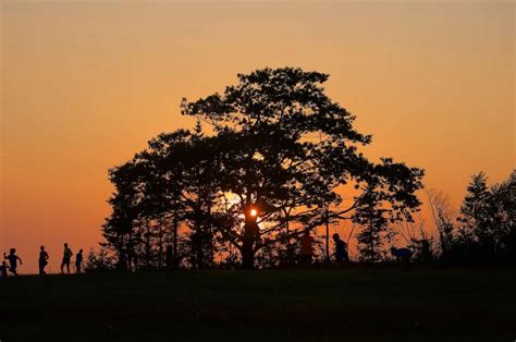 Jonathan Lavan The Independent Photographer