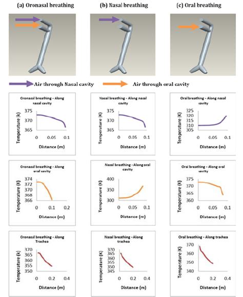Comparison Of Nasal Breathing Oral Breathing And Oronasal Breathing Download Scientific Diagram
