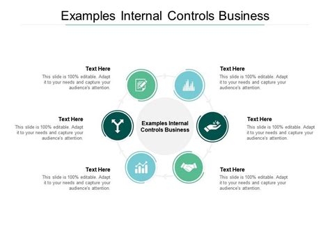 Examples Internal Controls Business Ppt Powerpoint Presentation Pictures Mockup Cpb Templates
