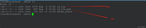 Jenkins使用publish Over Ssh插件分发项目jenkins Publish Over Ssh Csdn博客