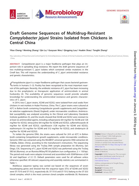 Pdf Draft Genome Sequences Of Multidrug Resistant Campylobacter