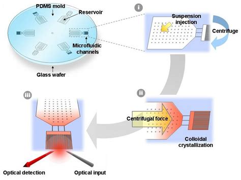 Schematics Of The Fabrication And Characterization Of Centrifugal Download Scientific Diagram
