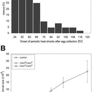 Zygotic Cdk Function Is Required For Larval Download Scientific Diagram