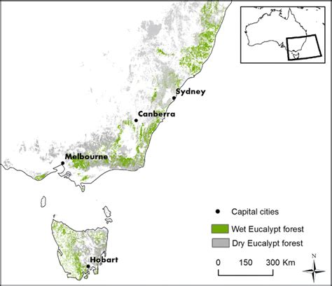 Distribution Of Wet Eucalypt Forest Otherwise Known As Tall Open