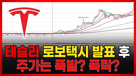 테슬라 로보택시 발표 후 주가는 폭락 폭발 Youtube