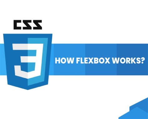 flexbox webdevelopment webdesign css layout md rasel talukder