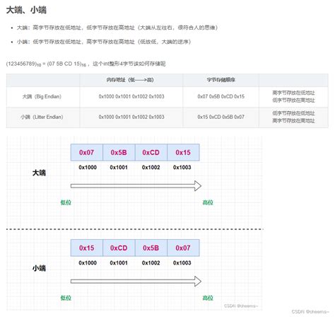 一文带你秒懂 字节序 byte order ，比特序 bit order ，位域 bit field byteorder csdn博客