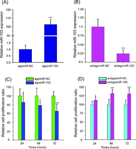 Mir 103 Suppresses The Proliferation Of Hbmscs A Elevated Expression