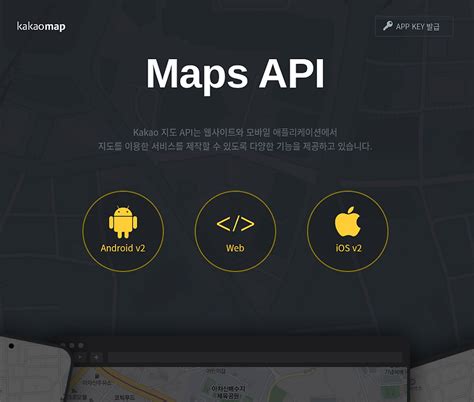 Kakao Api 카카오맵 Api 검색 Autoload 옵션 — Song9